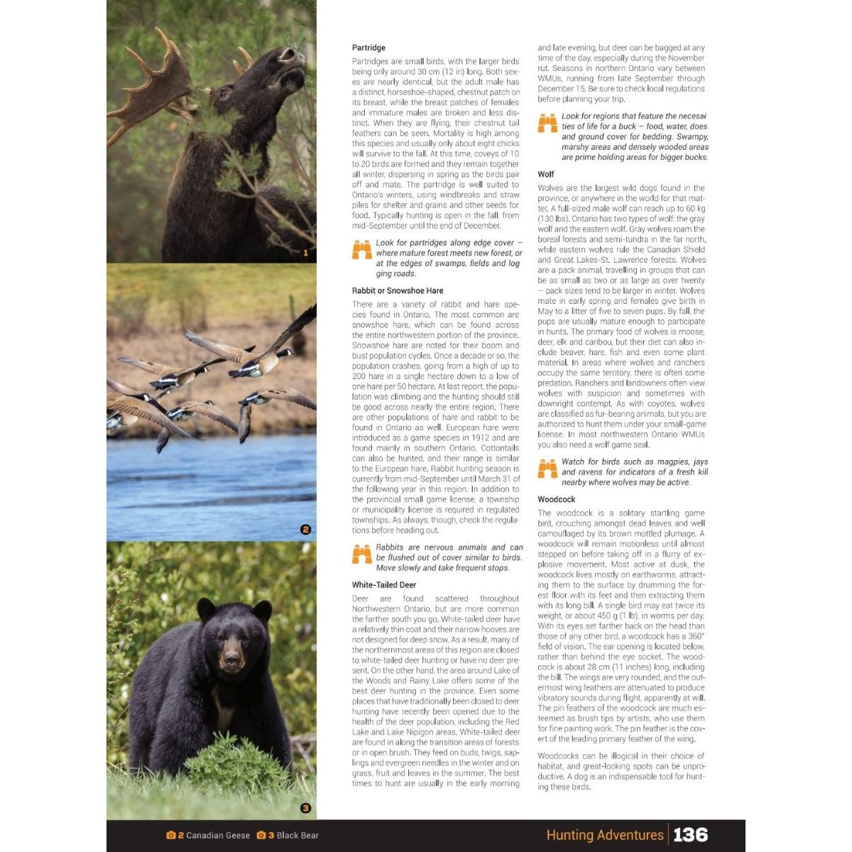 Backroad Mapbooks Northwestern Ontario - 5th Edition - Outdoors Oriented